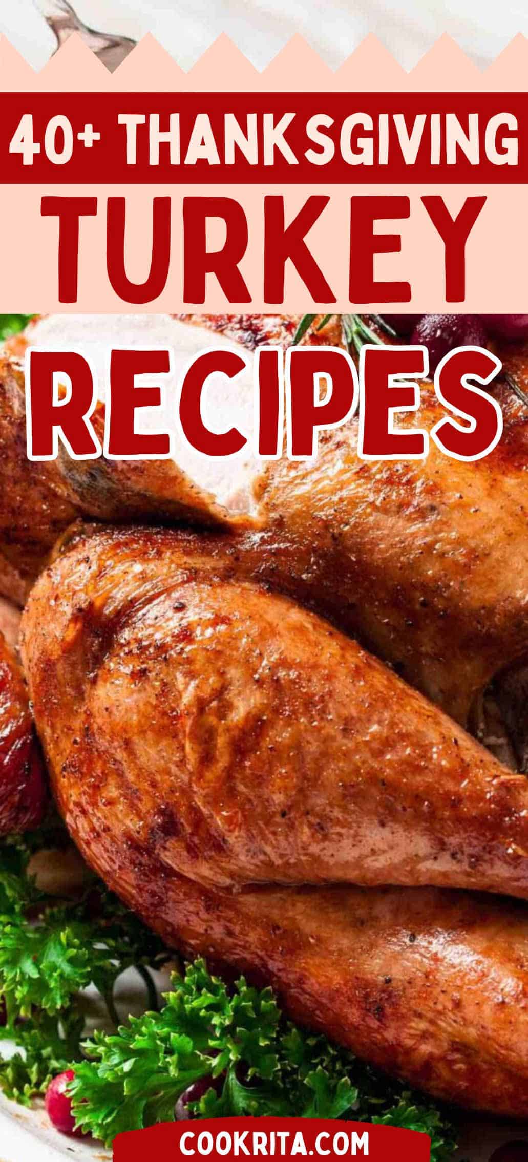 41+ Best Thanksgiving Turkey Recipe Ideas