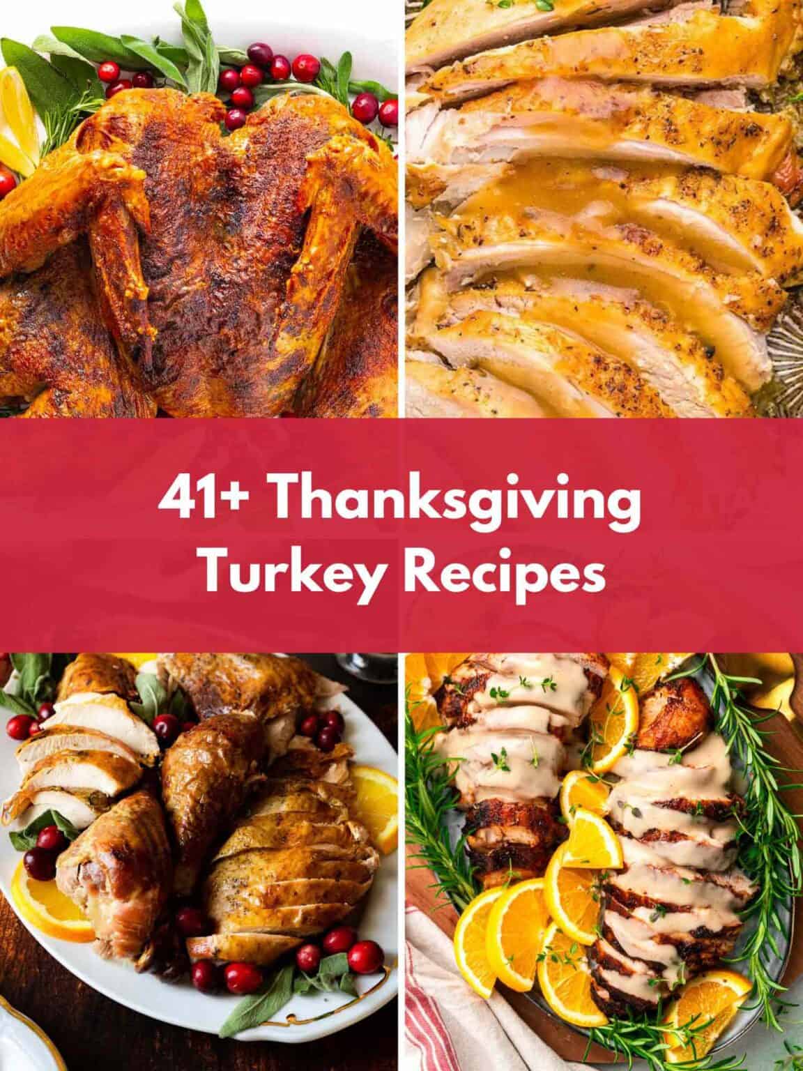 41+ Best Thanksgiving Turkey Recipe Ideas