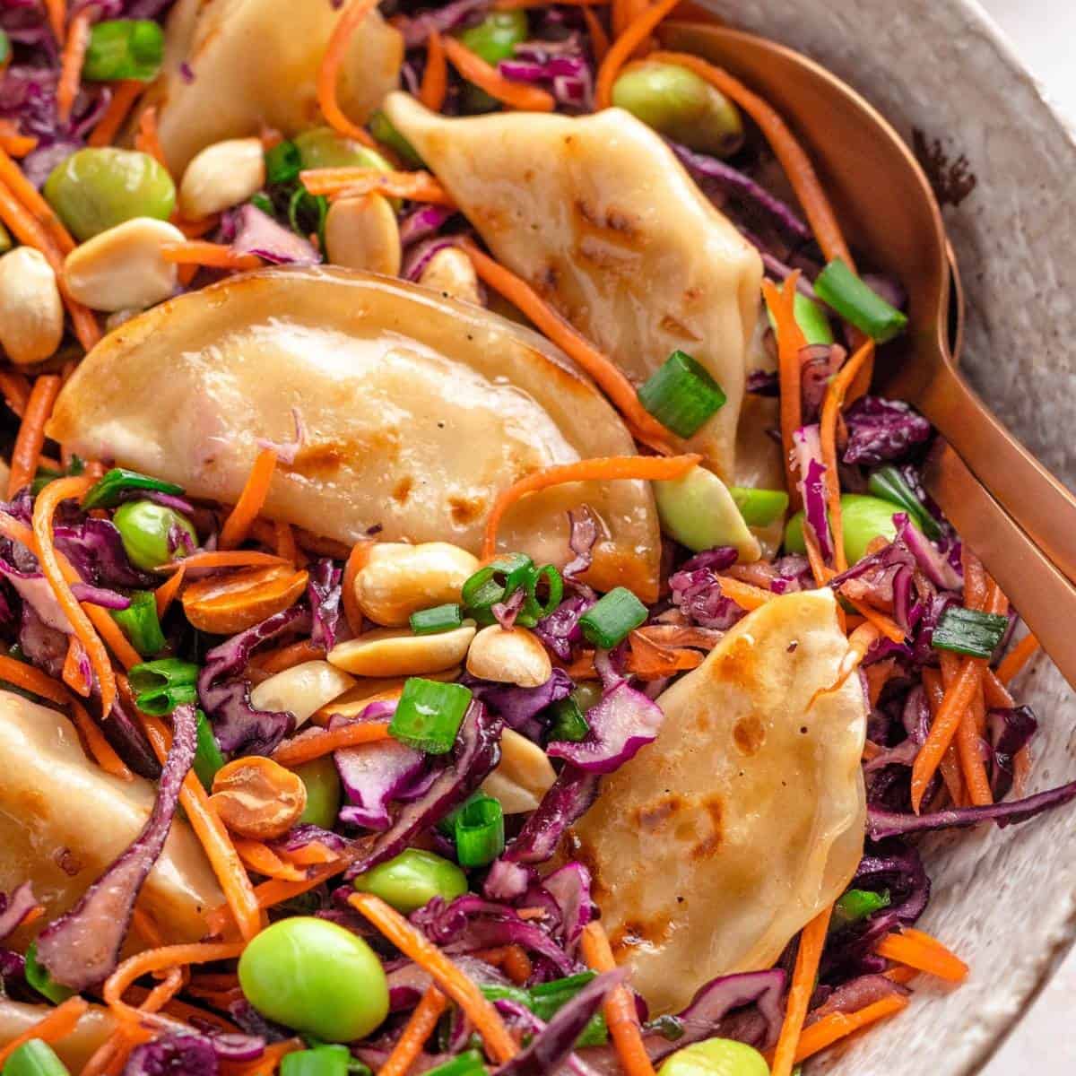 Crispy Dumpling Salad With Sesame Ginger Dressing