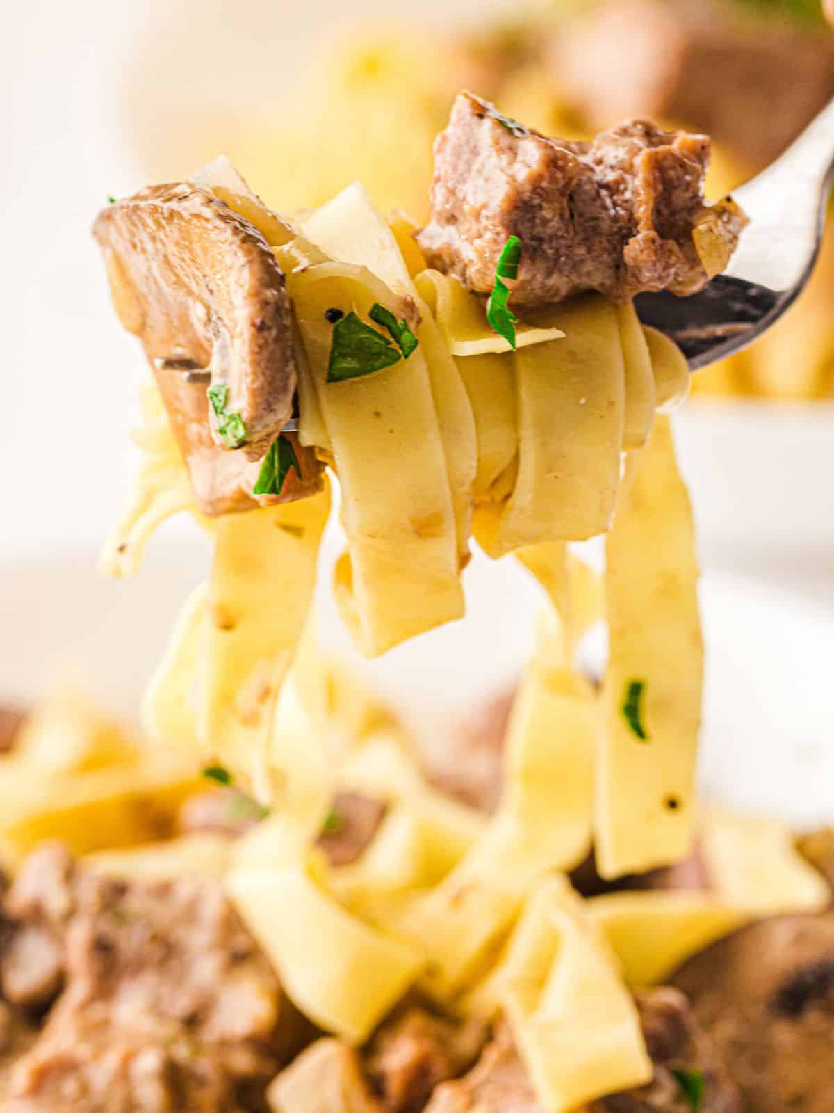 5 Best Pasta Shapes To Hold Creamy Sauces Perfectly