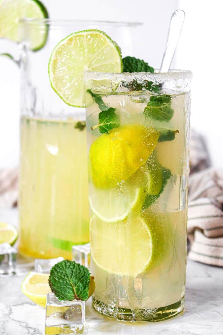 Virgin Mojito! Addictive and Delicious!